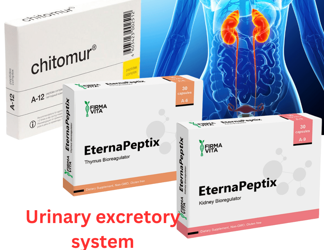 Urinary excretory system Peptide Bundle - A-6 Vladonix A-12 Chitomur A ...