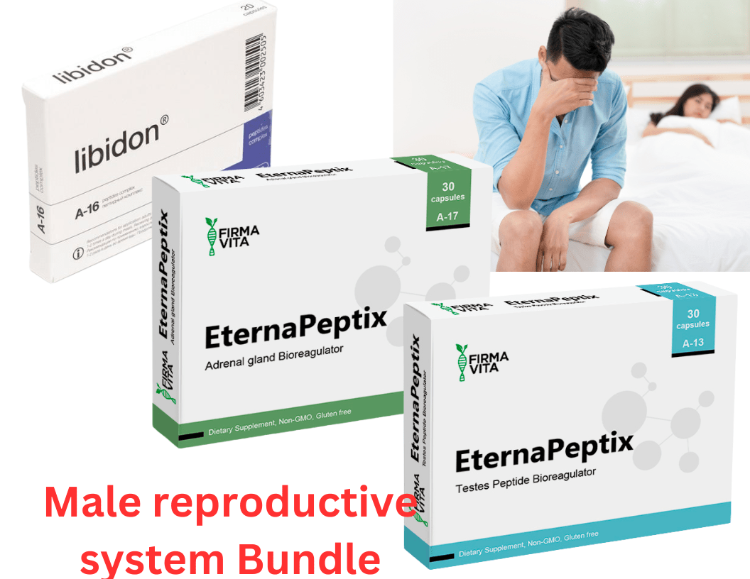 Male reproductive system Peptide Bundle - A-13 Testoluten A-16 Libidon ...